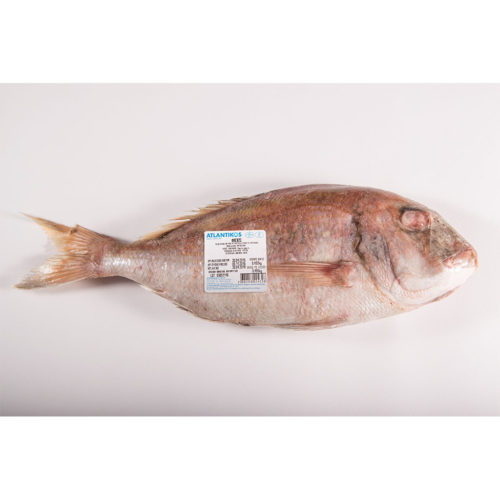 Red Porgy (Sea Bream) - Atlantikos - Quality Seafoods